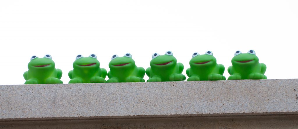 The six frogs and decision making