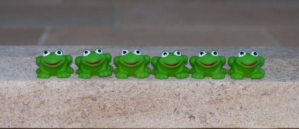 The six frogs and decision making